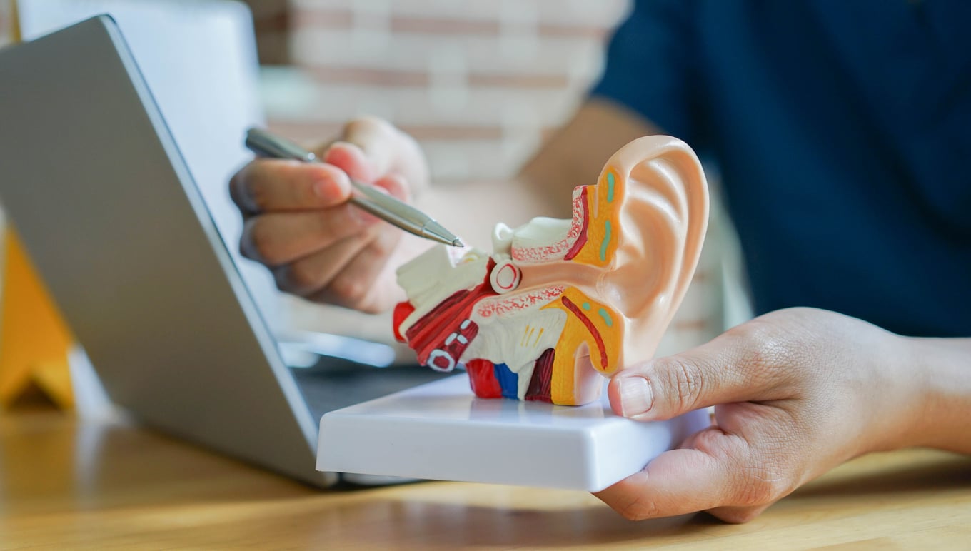 What is Third Mobile Window Syndrome? | Sharp Hearing - The Audiology ...